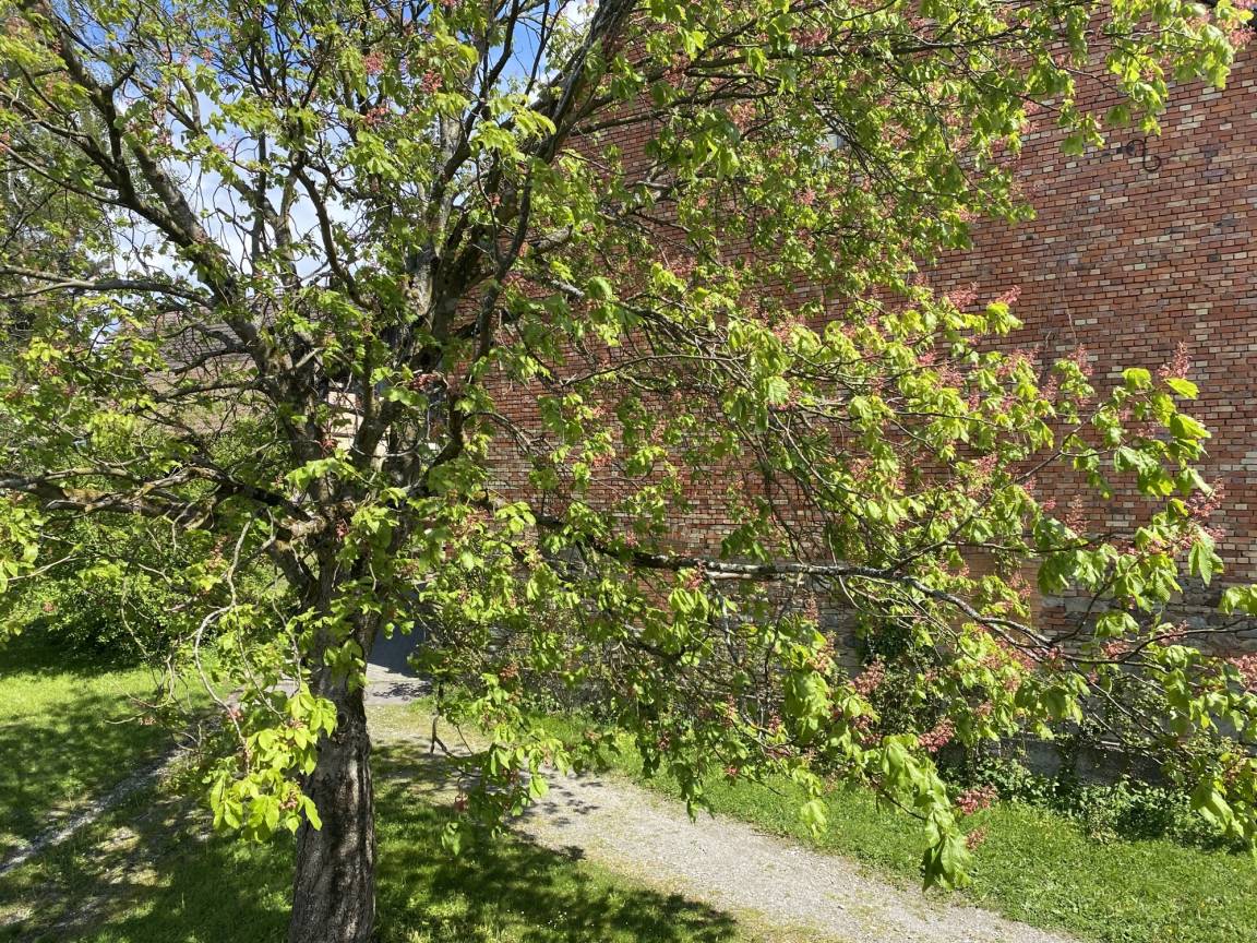 35 M² Appartement ∙ 2 Personnes - Friedrichshafen