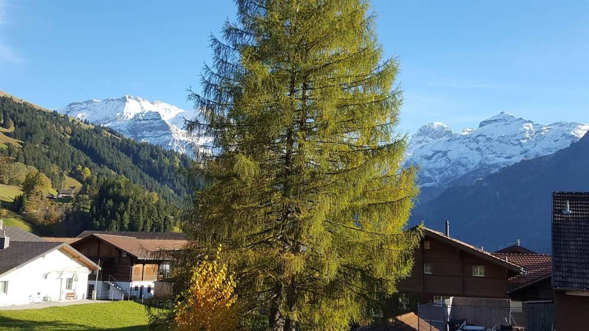 46 M² Ferienwohnung ∙ 1 Schlafzimmer ∙ 4 Gäste - Lenk