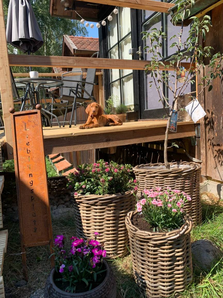 25 M² Apartment ∙ 2 Bedrooms ∙ 4 Guests - Neunburg vorm Wald