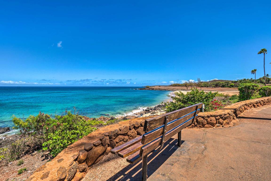 63 M² Apartment ∙ 1 Bedroom ∙ 4 Guests - Maunaloa, HI