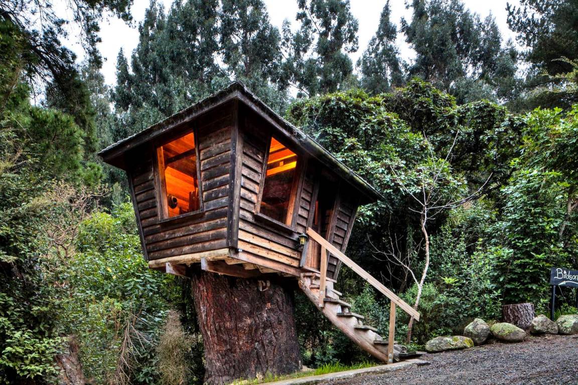 House ∙ 3 Bedrooms ∙ 6 Guests - Little River
