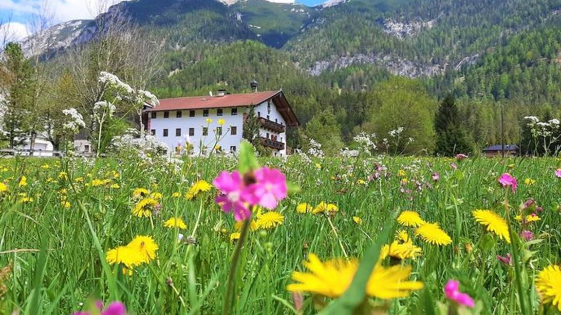 120 M² Ferienwohnung ∙ 2 Schlafzimmer ∙ 4 Gäste - Achenkirch