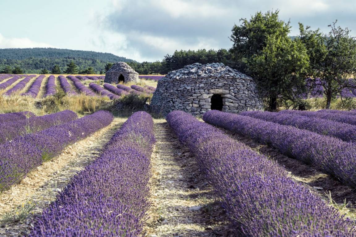 60 M² Gîte ∙ 1 Bedroom ∙ 4 Guests - Cavaillon