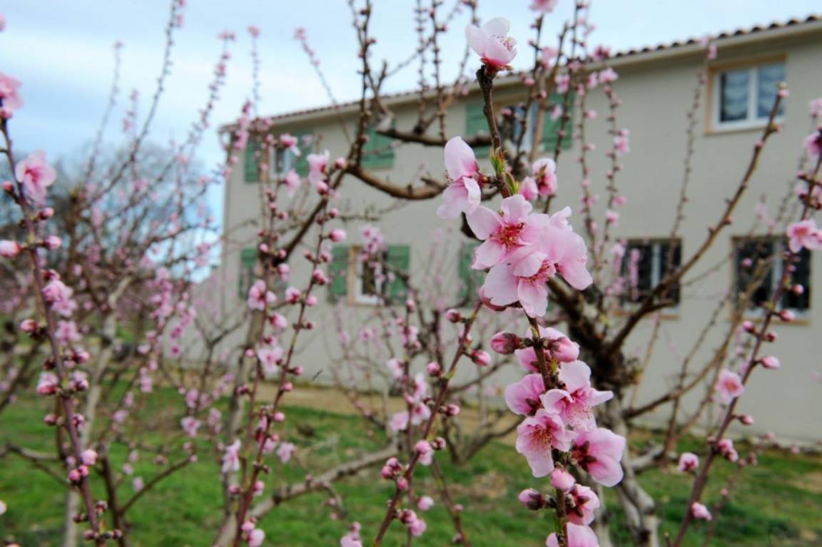150 M² Gîte ∙ 3 Chambres ∙ 6 Personnes - Thuir