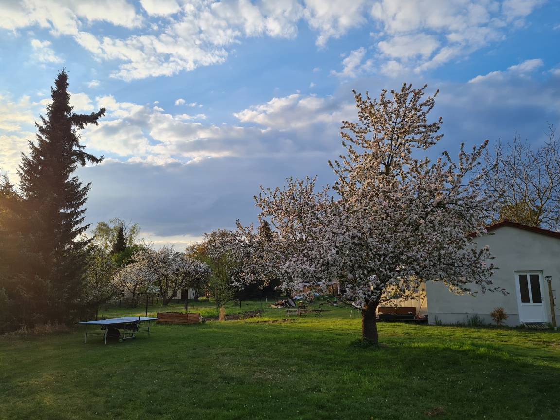 55 M² Ferienhaus ∙ 1 Schlafzimmer ∙ 2 Gäste - Fürstenwalde/Spree