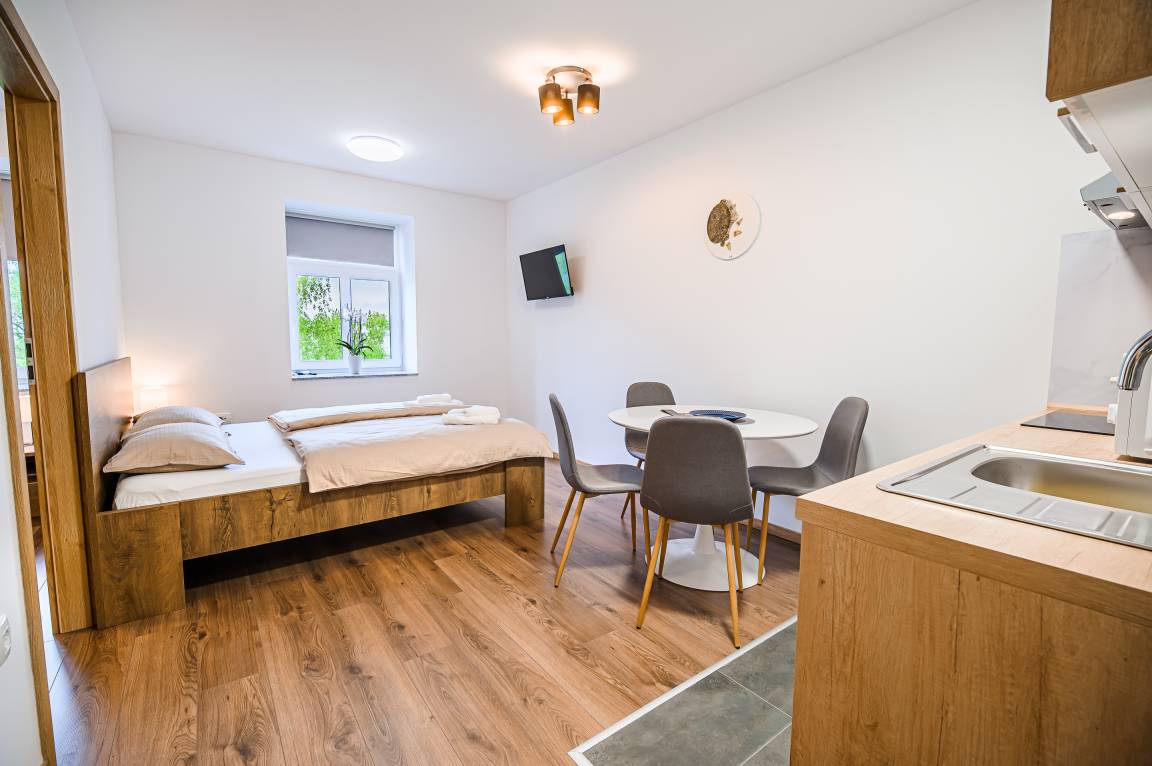 33 M² Apartment ∙ 1 Bedroom ∙ 4 Guests - 