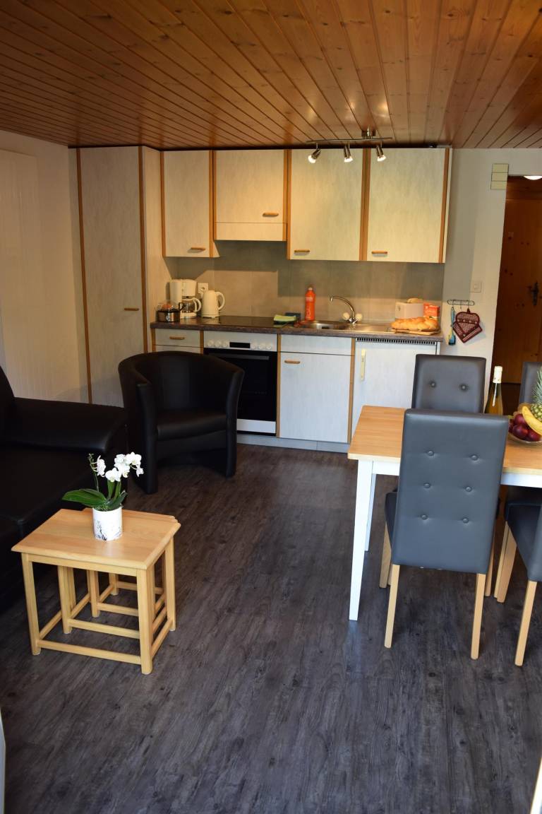 40 M² Apartment ∙ 2 Bedrooms ∙ 4 Guests - Saas-Fee