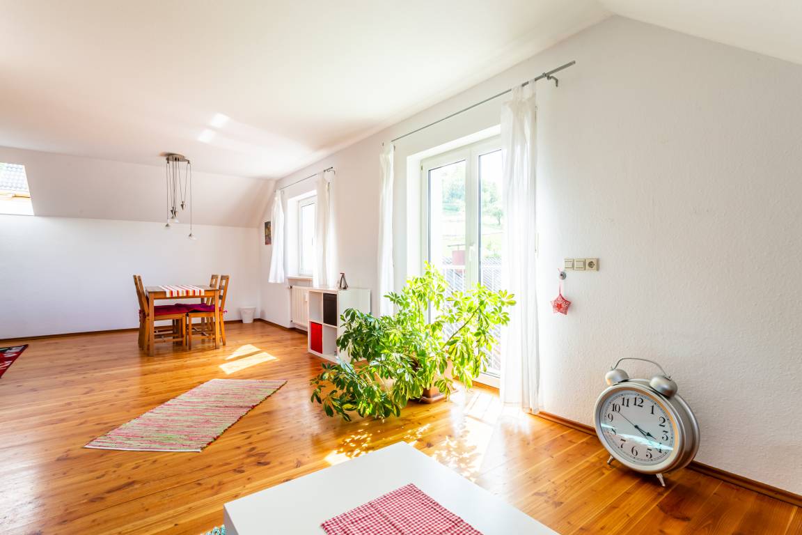 54 M² Apartment ∙ 1 Bedroom ∙ 4 Guests - Radolfzell