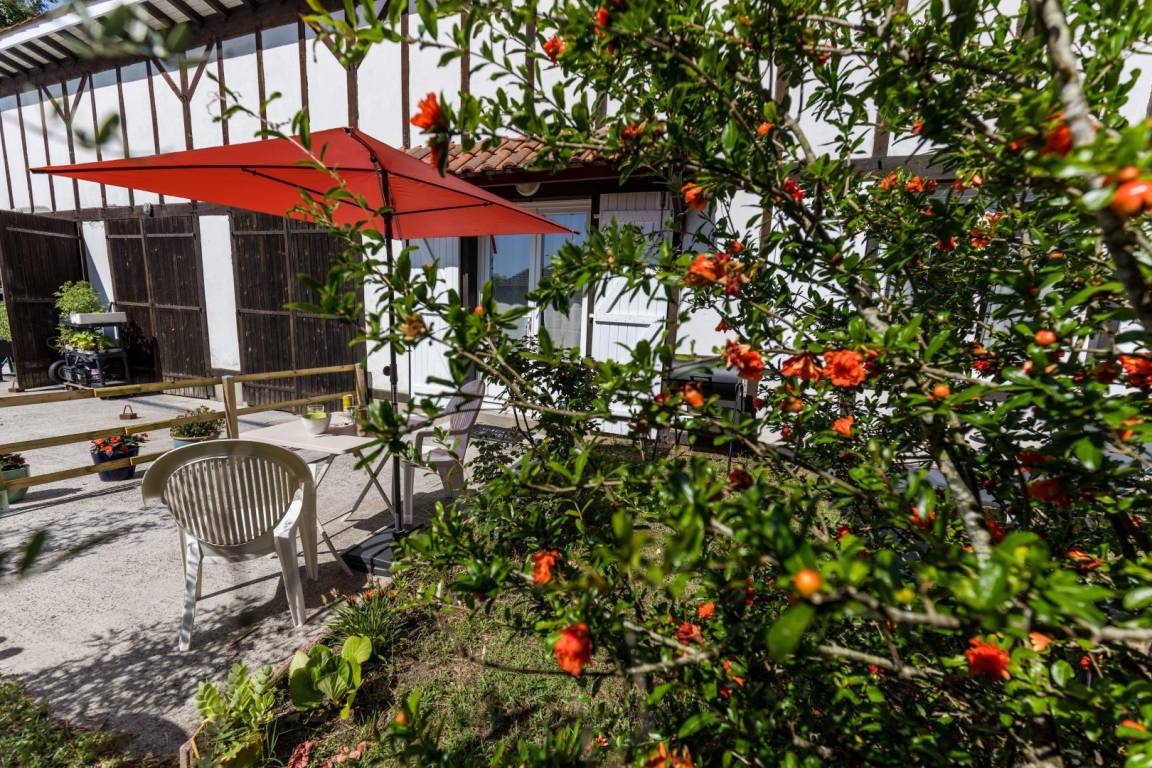 32 M² Gîte ∙ 1 Chambre ∙ 2 Personnes - Nouvelle-Aquitaine