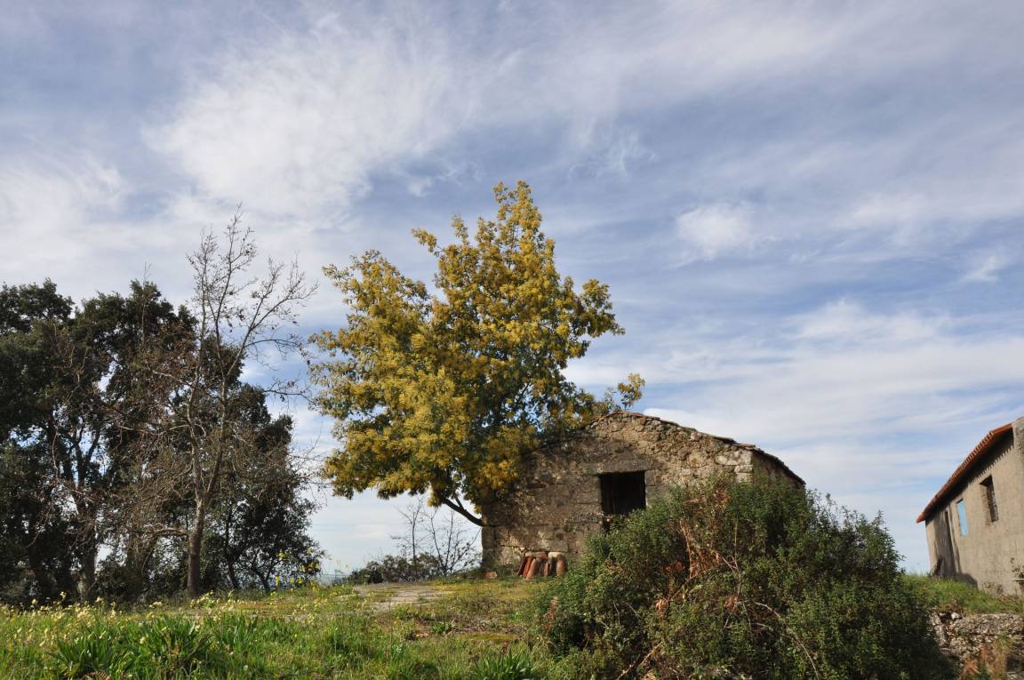 120 M² Casa ∙ 5 Quartos ∙ 10 Hóspedes - Oliveira do Hospital