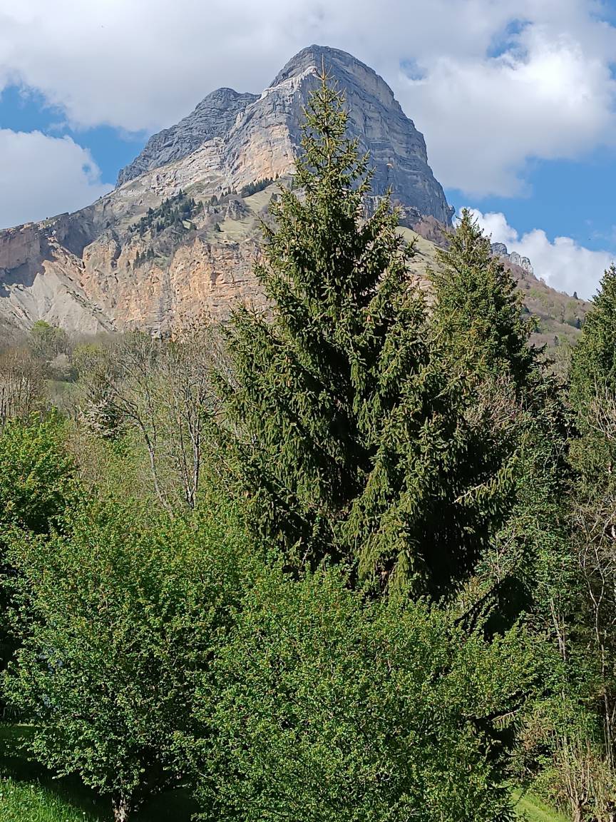 130 M² Appartement ∙ 3 Chambres ∙ 6 Personnes - Saint-Pierre-de-Chartreuse
