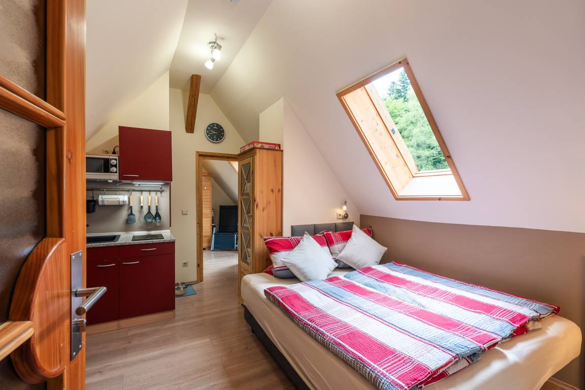 40 M² Studio Flat ∙ 2 Guests - Bad Wildbad