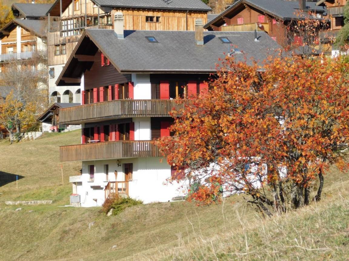 Ferienwohnung ∙ 3 Schlafzimmer ∙ 6 Gäste - Fiesch