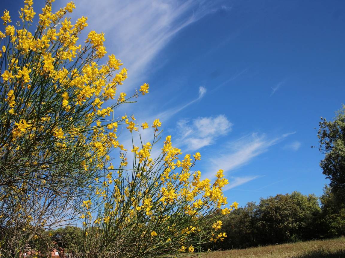 140 M² Maison De Vacances ∙ 3 Chambres ∙ 6 Personnes - Régusse