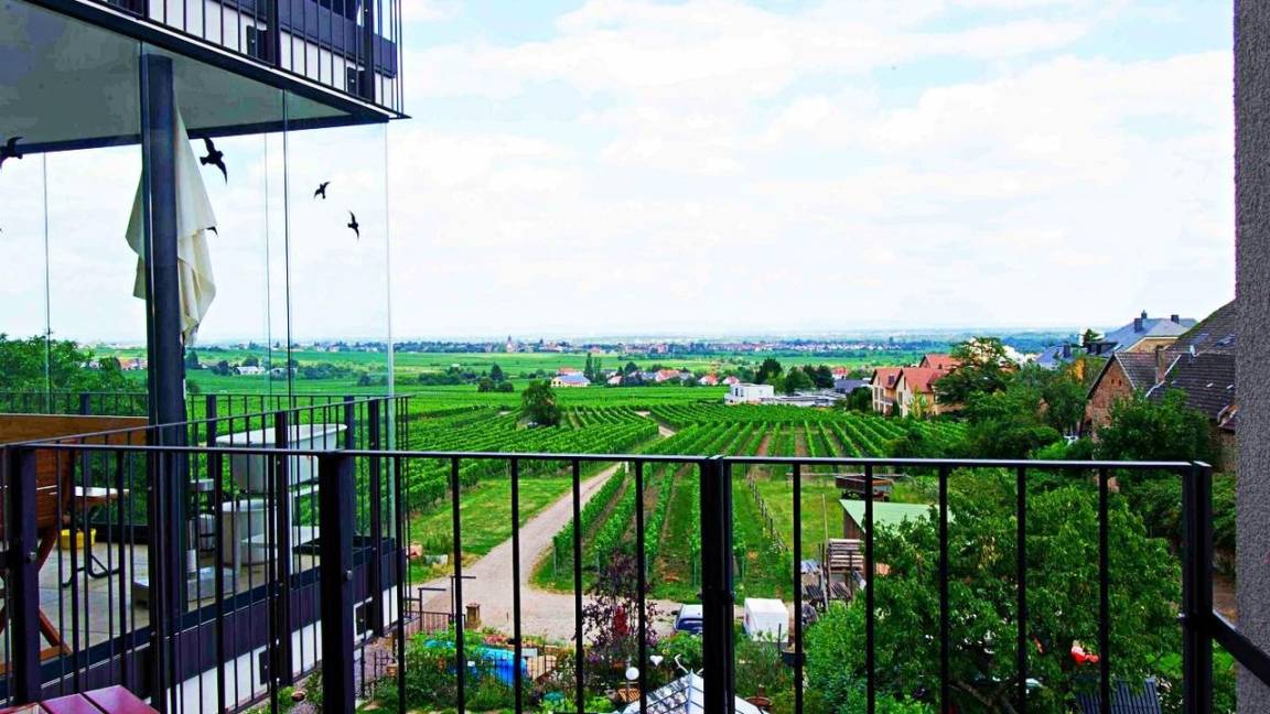 42 M² Apartamento ∙ 1 Habitación ∙ 2 Huéspedes - Neustadt an der Weinstraße