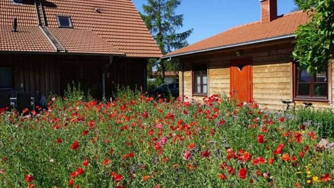 26 M² Ferienwohnung ∙ 1 Gast - Greifswald