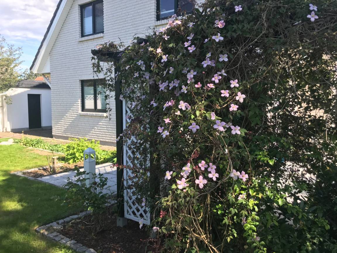 65 M² Apartamento ∙ 1 Habitación ∙ 4 Huéspedes - Greifswald