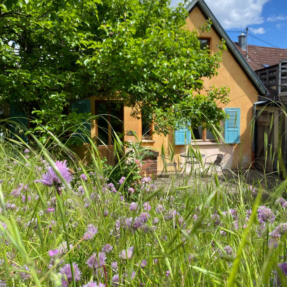 45 M² Apartment ∙ 1 Bedroom ∙ 2 Guests - Eguisheim