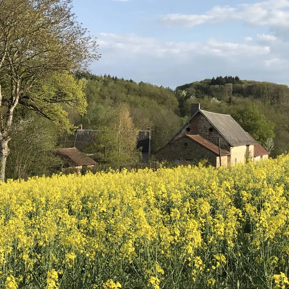 200 M² Maison De Vacances ∙ 3 Chambres ∙ 12 Personnes - Puy-de-Dôme