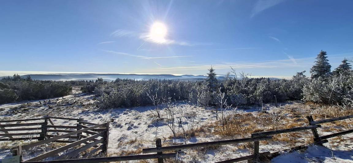 76 M² Ferienwohnung ∙ 1 Schlafzimmer ∙ 4 Gäste - Rheinau