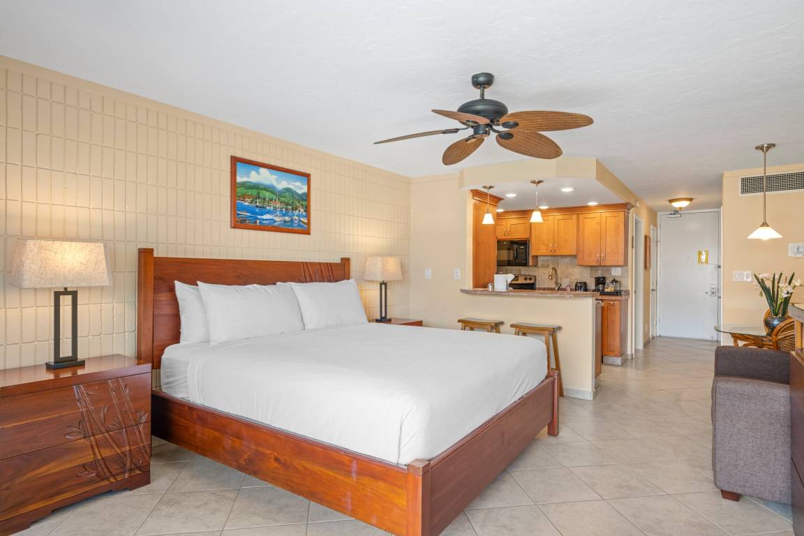 45 M² Appartement ∙ 1 Slaapkamer ∙ 2 Gasten - Lahaina, HI
