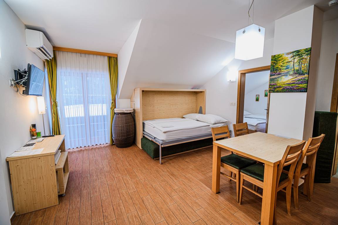 41 M² Apartment ∙ 1 Bedroom ∙ 4 Guests - Vinica