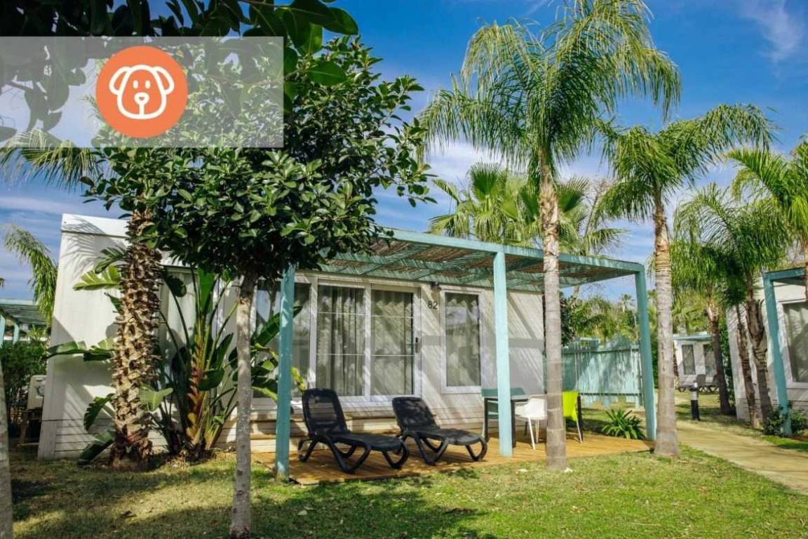 36 M² Campeggio ∙ 2 Camere Da Letto ∙ 5 Ospiti - Mont-roig del Camp