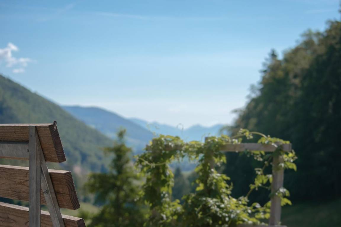 Ferienwohnung ∙ 3 Schlafzimmer ∙ 7 Gäste - Kanton Solothurn