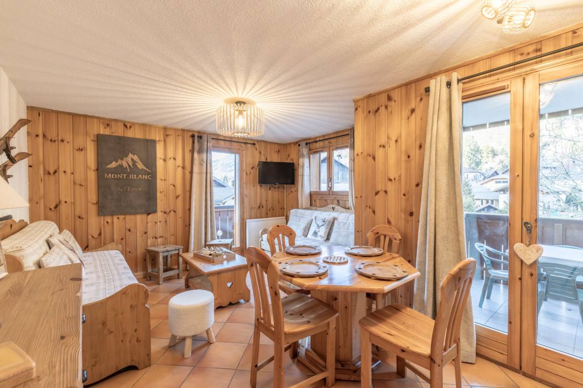 30 M² Apartment ∙ 1 Bedroom ∙ 4 Guests - Samoëns