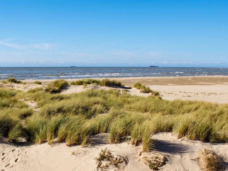 Tente ∙ 1 Chambre ∙ 2 Personnes - Camiers