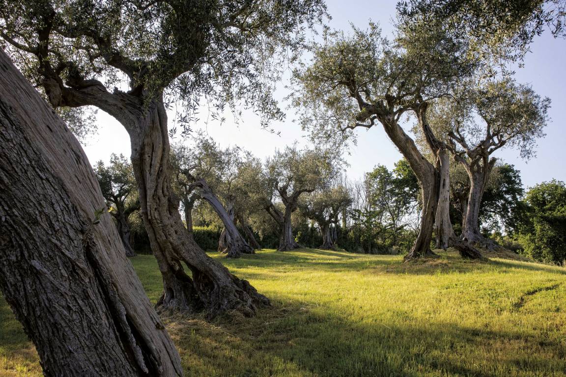 300 M² Dom ∙ 4 Sypialnie ∙ 9 Gości - Fano