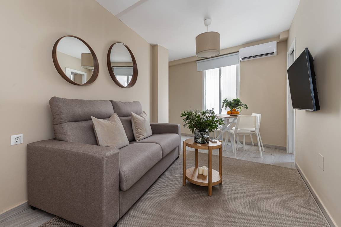 50 M² Apartment ∙ 1 Bedroom ∙ 4 Guests - Seville