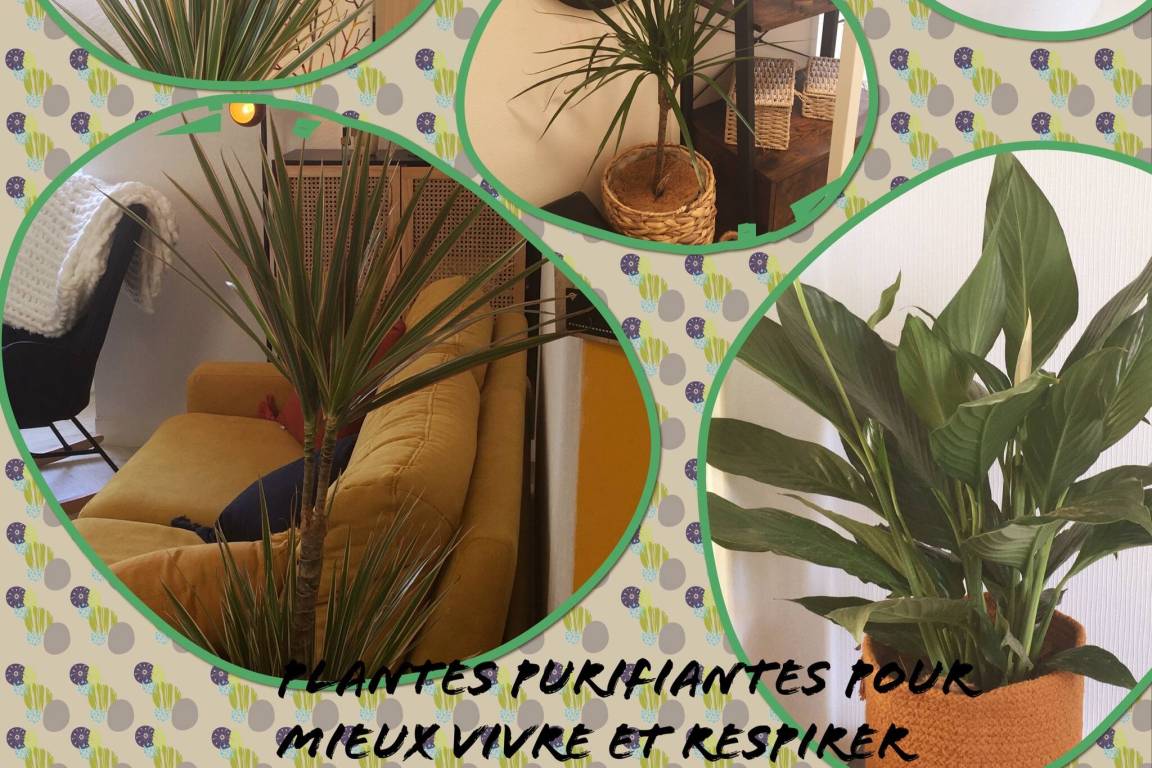 42 M² Appartement ∙ 1 Chambre ∙ 5 Personnes - Troyes