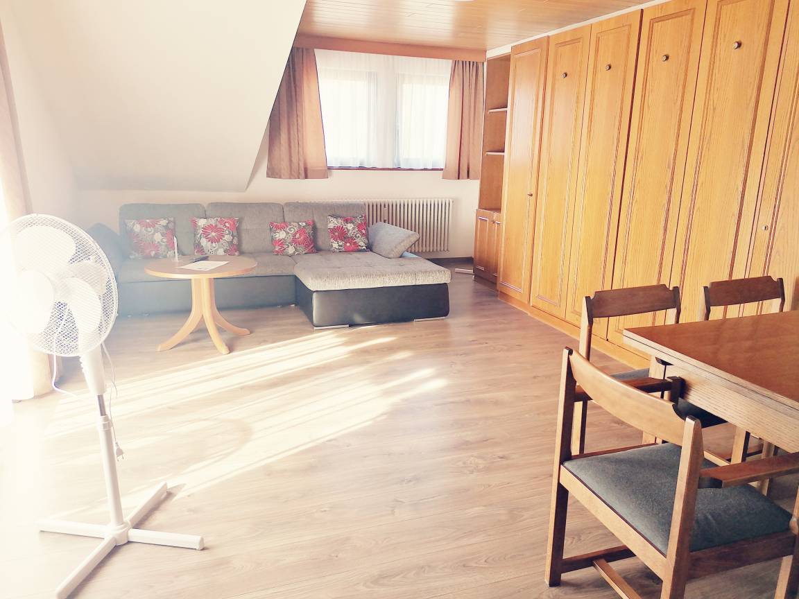 90 M² Ferienwohnung ∙ 1 Schlafzimmer ∙ 6 Gäste - Hornberg