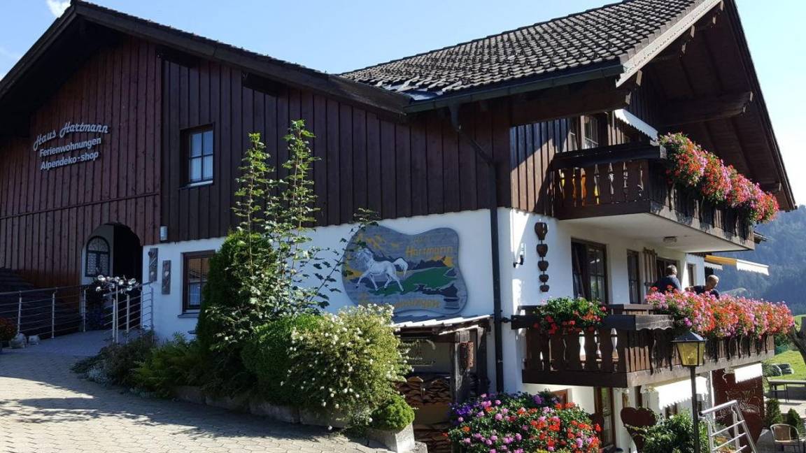 55 M² Apartment ∙ 2 Bedrooms ∙ 5 Guests - Immenstadt