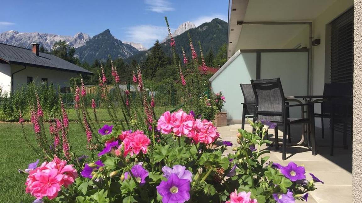 Urlaubsapartments Pfleger - Appartement A, Dusche Oder Bad, Wc, 1 Schlafraum - Hinterstoder