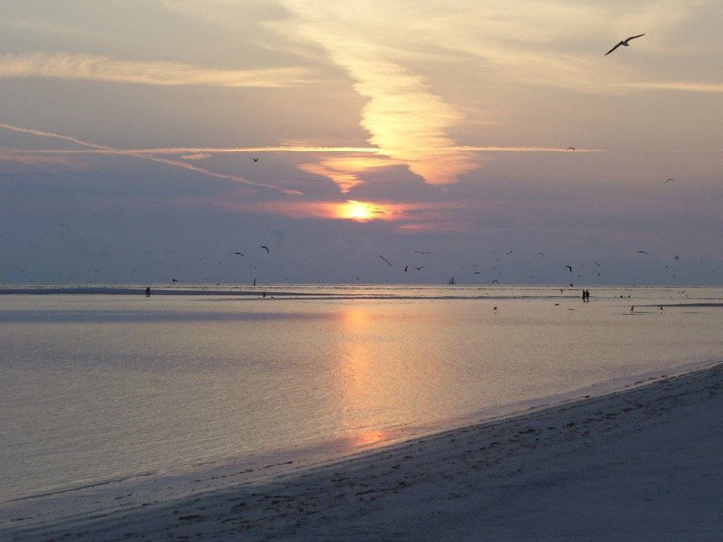 102 M² House ∙ 2 Bedrooms ∙ 6 Guests - Anna Maria, FL
