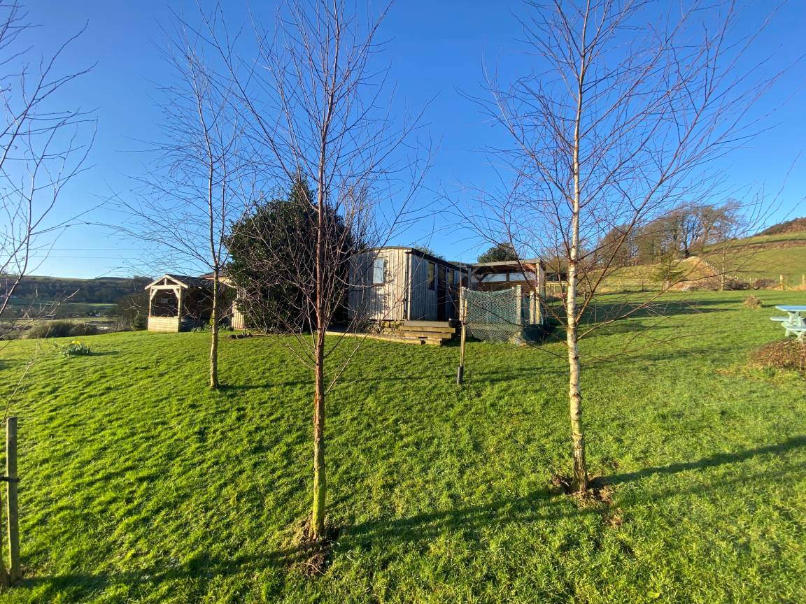 25 M² Cabin ∙ 1 Bedroom ∙ 2 Guests - Dumfries