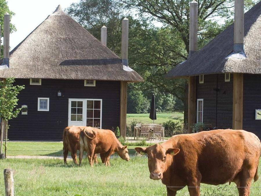 Huis ∙ 2 Slaapkamers ∙ 5 Gasten - Wierden