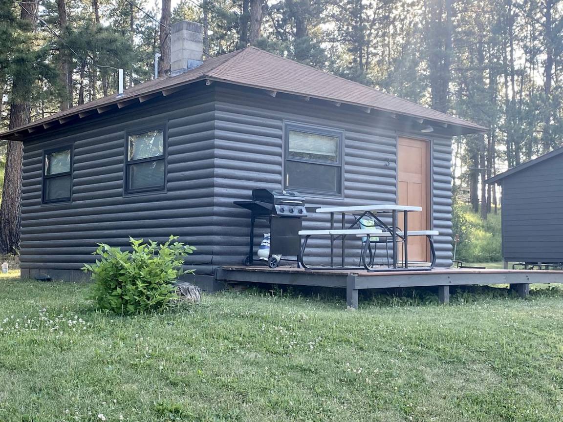 House ∙ 1 Bedroom ∙ 3 Guests - Keystone, SD