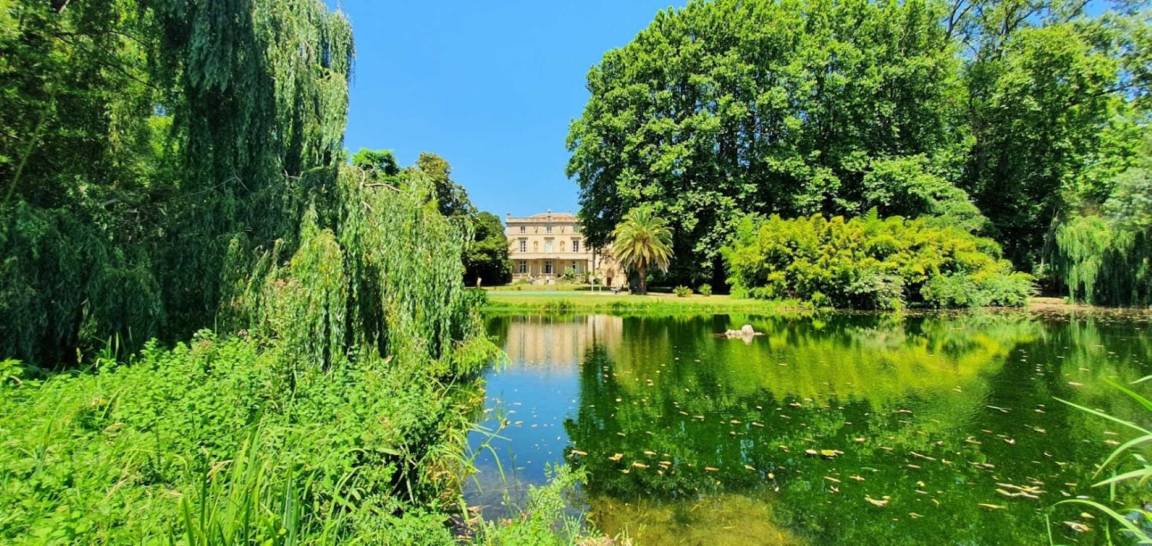 42 M² Gîte ∙ 1 Slaapkamer ∙ 3 Gasten - Carcassonne