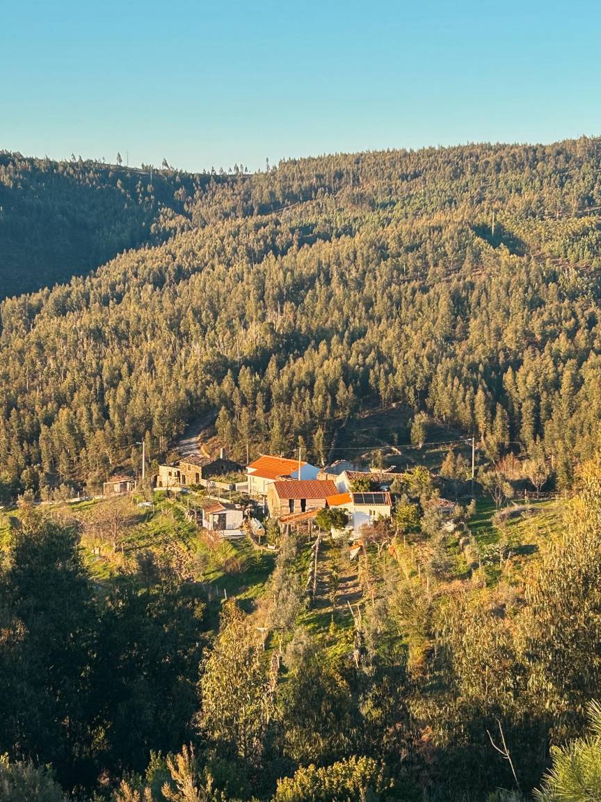 40 M² Finca ∙ 1 Bedroom ∙ 2 Guests - Portugal