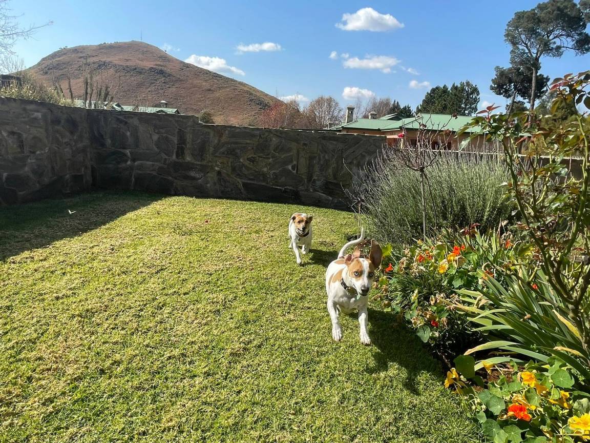 200 M² House ∙ 2 Bedrooms ∙ 4 Guests - Dullstroom