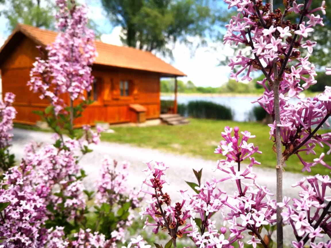 35 M² Chalet ∙ 2 Bedrooms ∙ 6 Guests - Gap