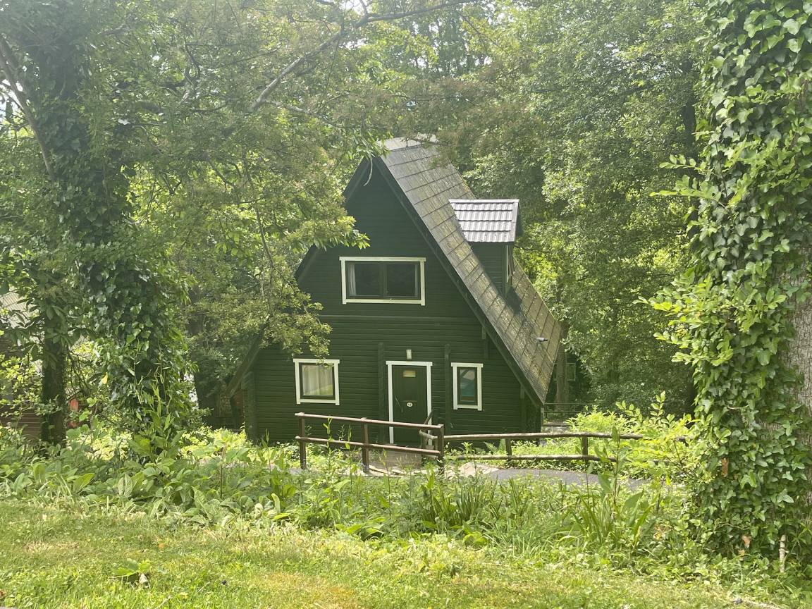 Cottage ∙ 3 Bedrooms ∙ 6 Guests - Bovey Tracey