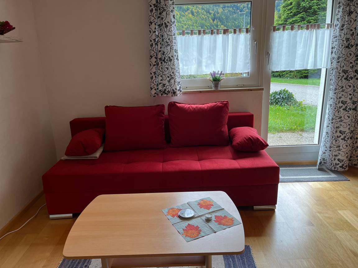 45 M² Ferienwohnung ∙ 1 Schlafzimmer ∙ 2 Gäste - Todtnau