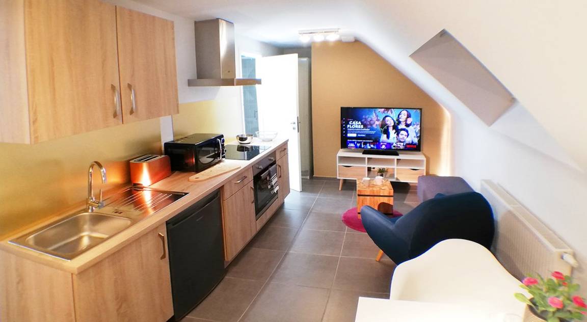 35 M² Appartement ∙ 1 Chambre ∙ 1 Personne - Aéroport de Bruxelles Charleroi-sud (CRL)