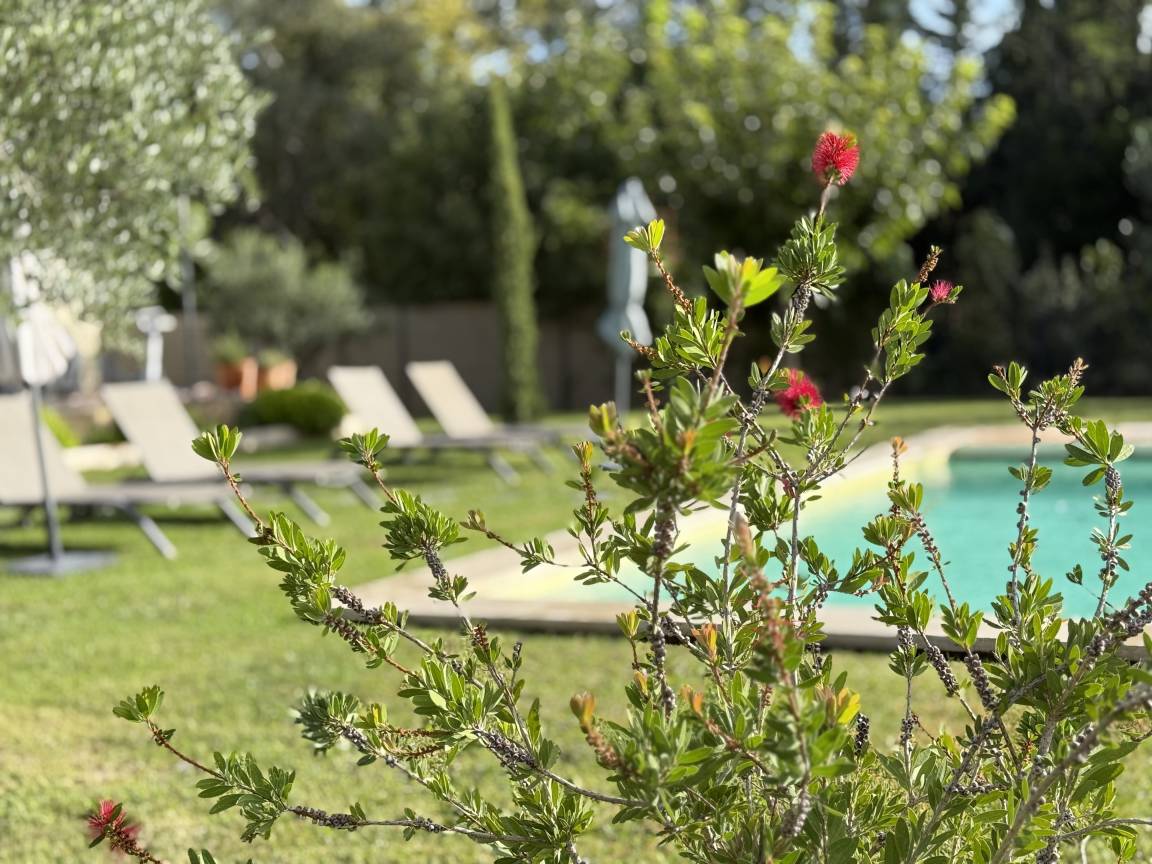 120 M² Villa ∙ 4 Bedrooms ∙ 8 Guests - Paradou