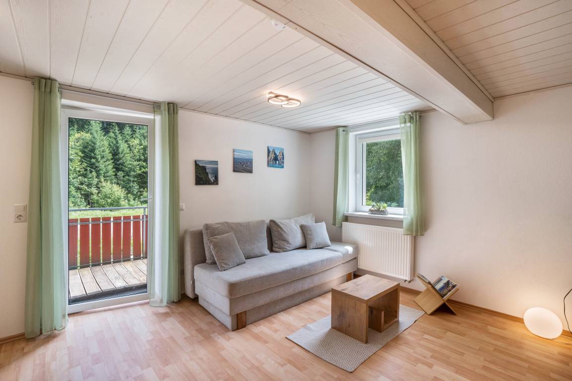 62 M² Appartement ∙ 1 Slaapkamer ∙ 4 Gasten - Freudenstadt