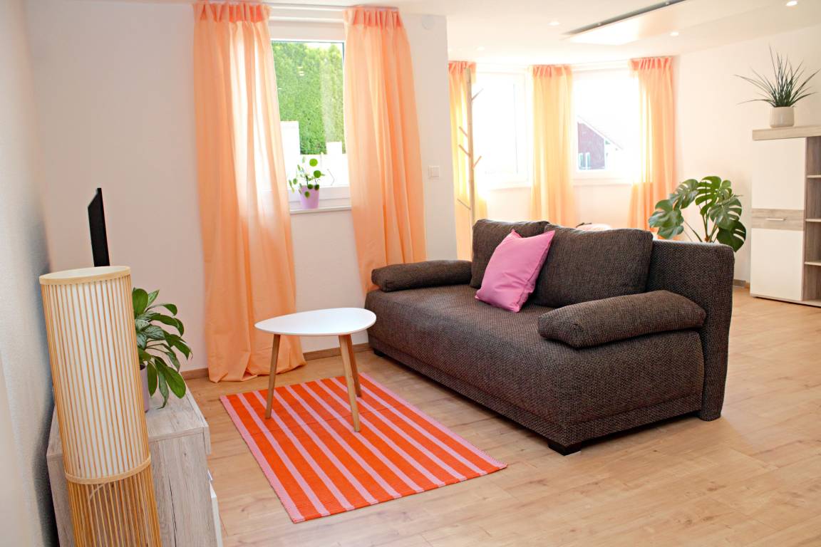 56 M² Appartement ∙ 1 Slaapkamer ∙ 4 Gasten - Wehingen